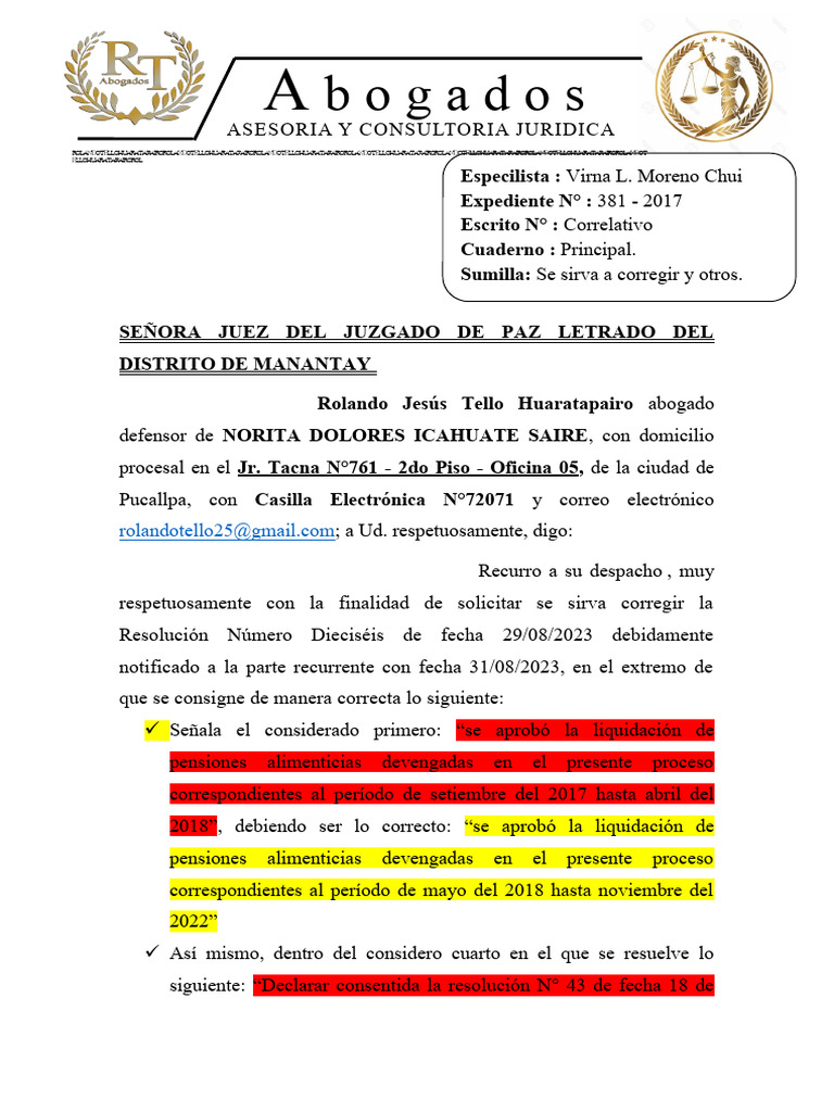 Escrito - Norita-Solicitud de Correccion | PDF | Instituciones gubernamentales | Ley común