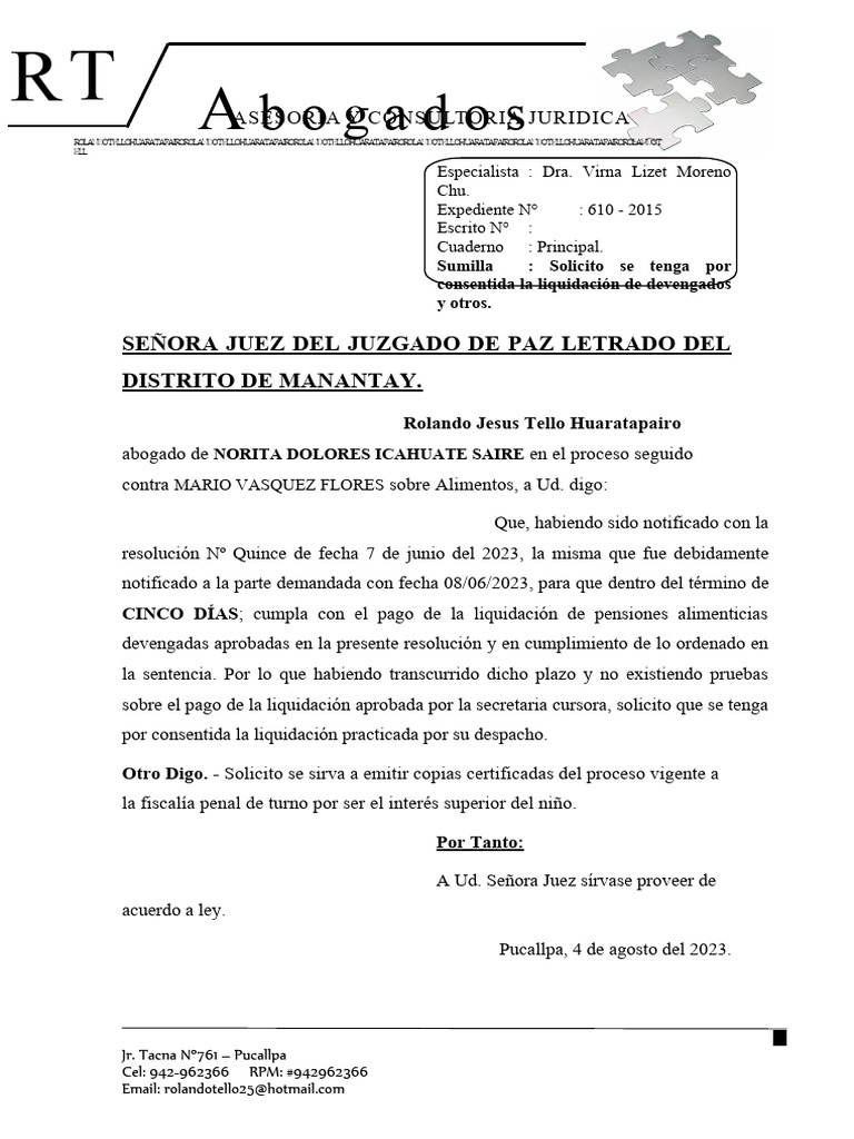 Norita Icahuate - Alimentos | PDF | Juez | Derechos humanos