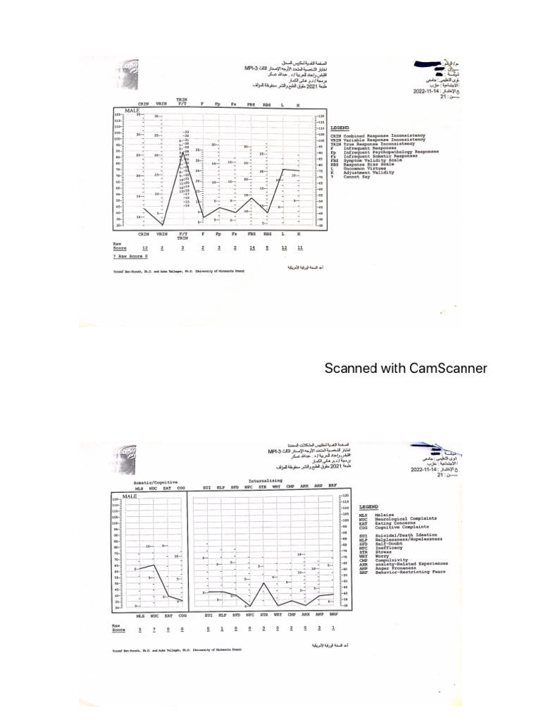 Mmpi Example Pdf
