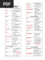 Complete Animal Terminology Chart | PDF