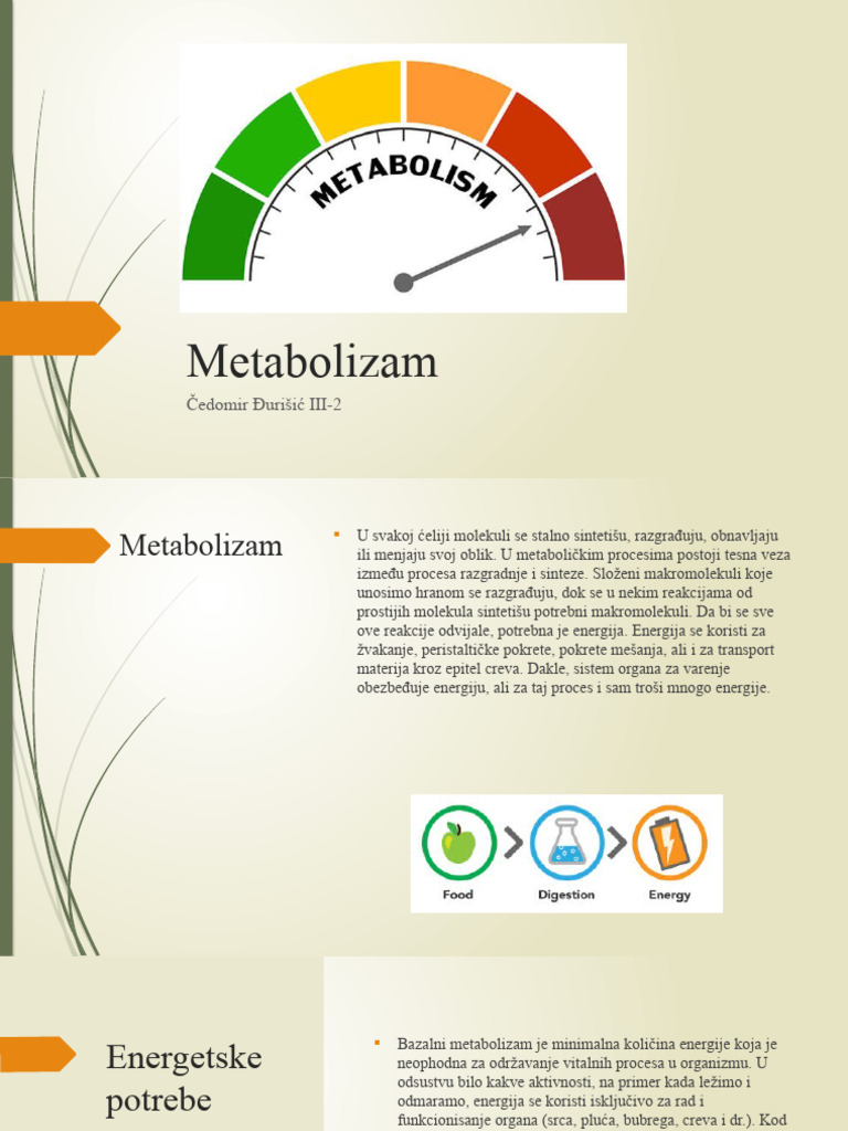 Metabolizam | PDF