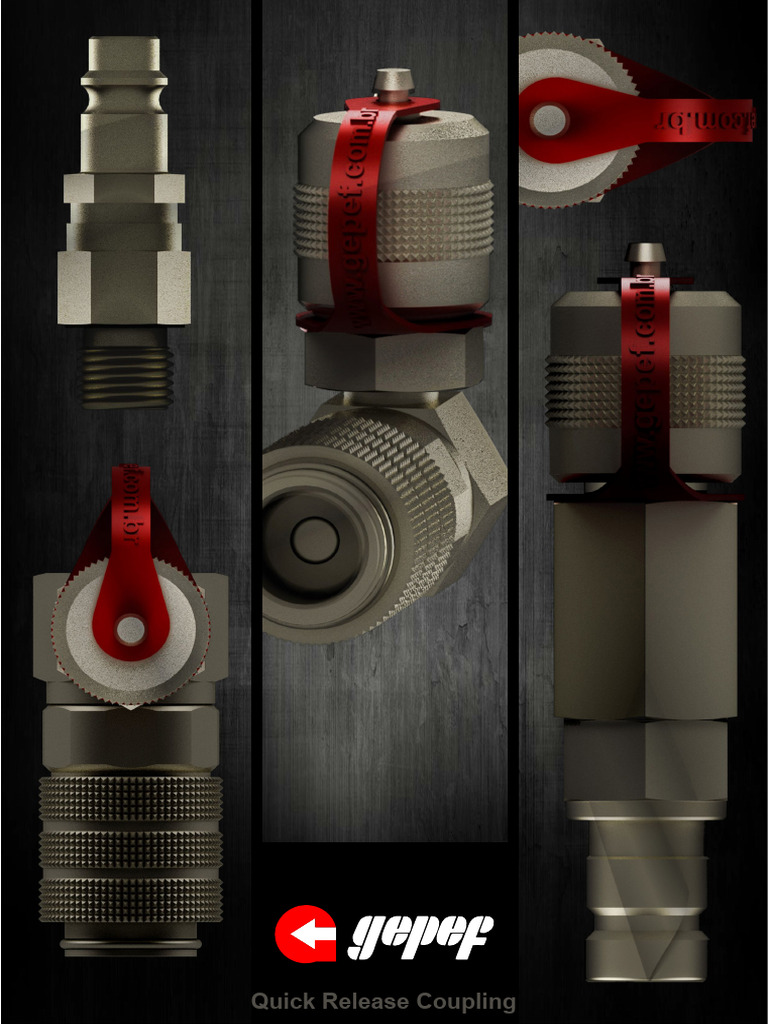 Quick Release Coupling | PDF