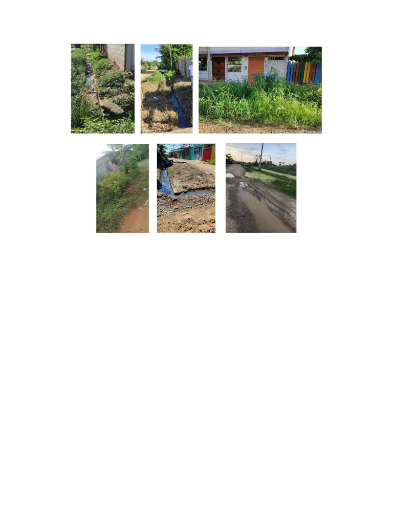 Fotos de Trabajo Laborioso | PDF