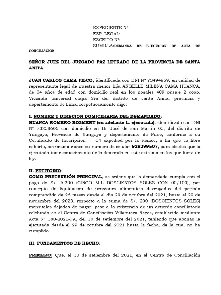Modelo de Demanda Ejecucion de Cata de Conciliacion Juan Cama Pilco | Descargar gratis PDF | Ley ...