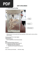Murray Secretion Scale and Fiberoptic Endoscopic Evaluation of ...