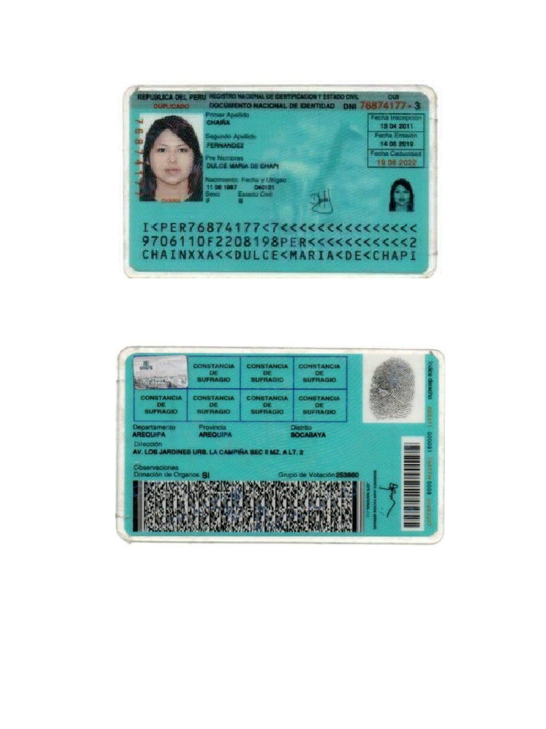 Chaiña Fernandez Dulce Maria CV | PDF | Perú | Obtención