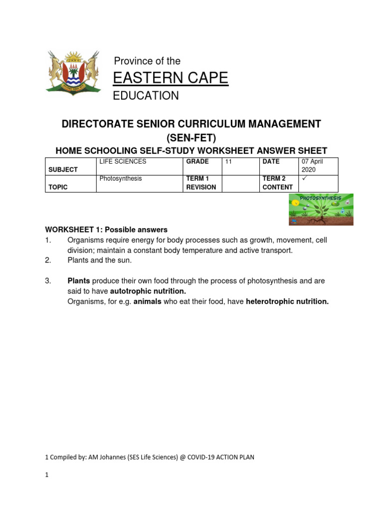 Life Sciences Grade 11 Worksheet 1 Answers Photosynthesis | PDF ...