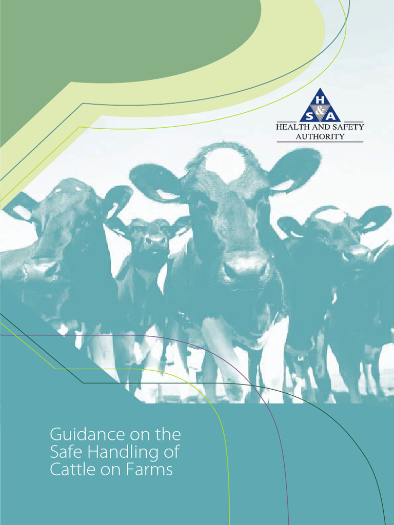 Safe Handling of Cattle On Farms | PDF | Cattle | Dairy