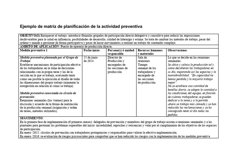 Ejemplo de Matriz de Planificación de La Actividad Preventiva | PDF