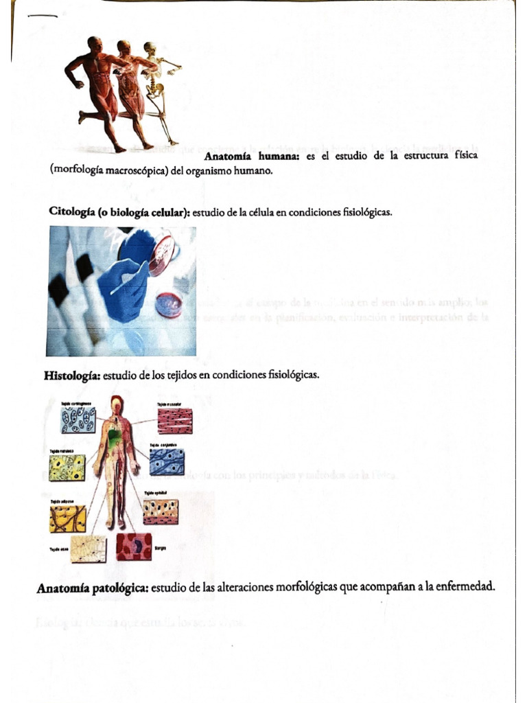 Especialidades y Sub 2 | PDF