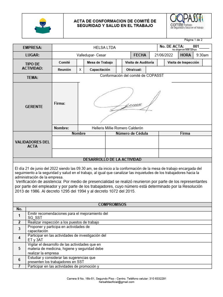 Conformación Comité de Seguridad y Salud | PDF