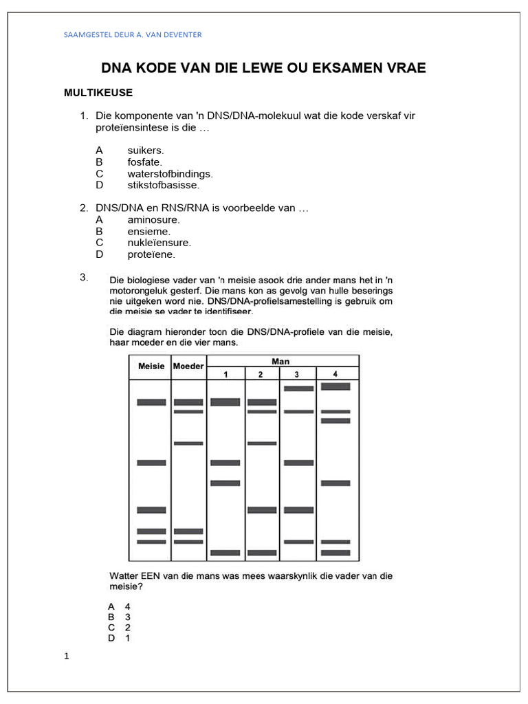 Dna Kode Van Die Lewe Ou Eksamen Vrae | PDF