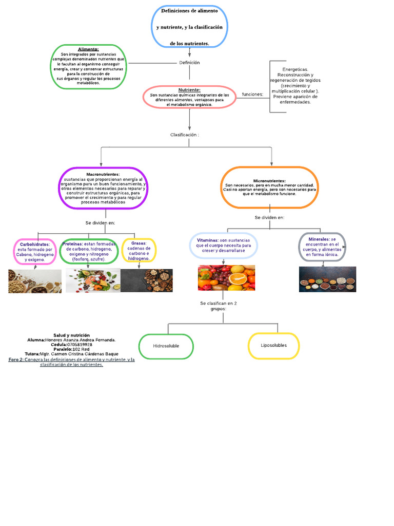 Definición de Alimento y Nutriente y Clasificación | PDF | Nutrientes ...