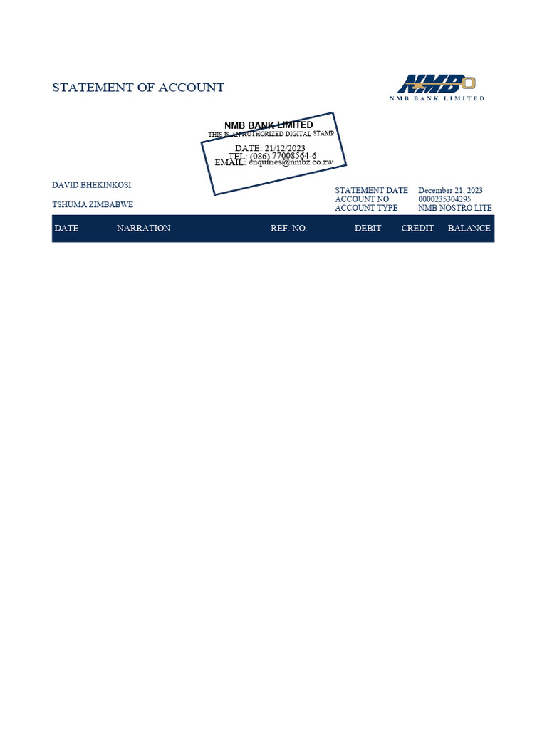 NMB Nostro Lite Account Statement | PDF