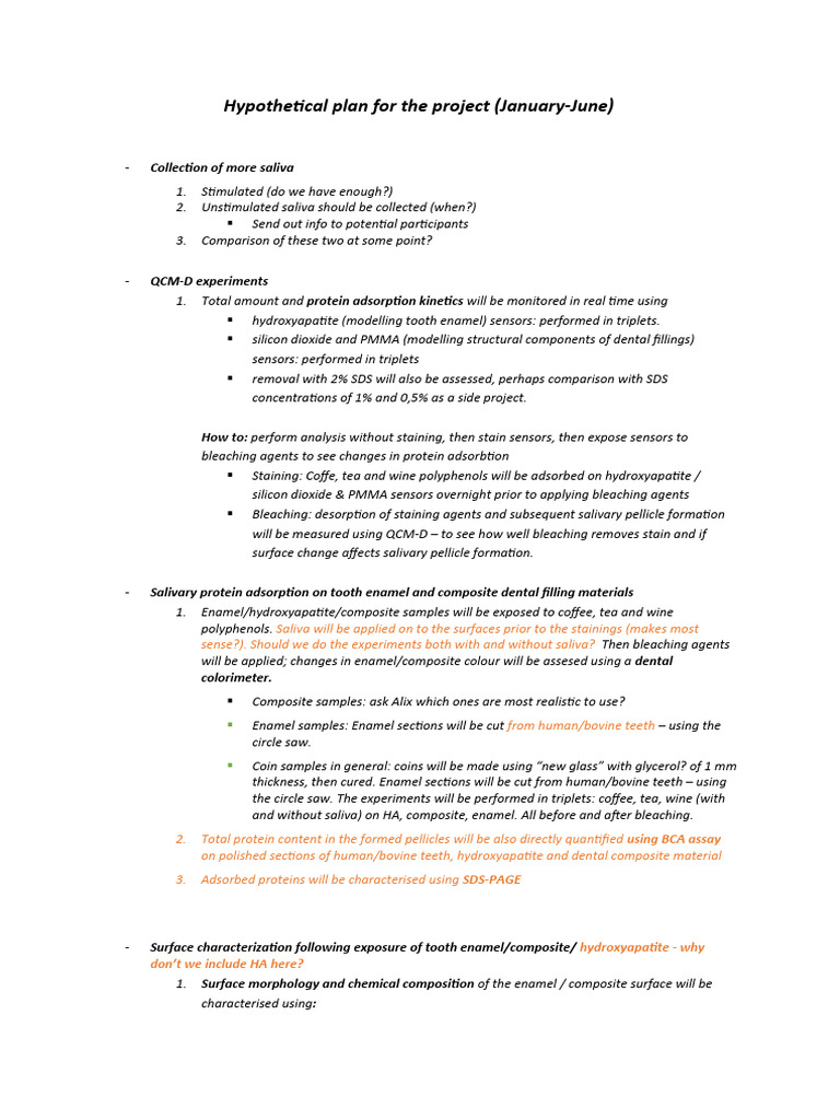 Hypothetical Plan For The Project | PDF