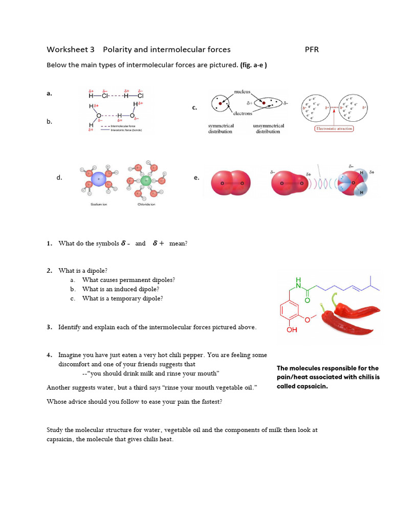 Worksheet 3 Polarity and Intermolecular Forces PFR | PDF