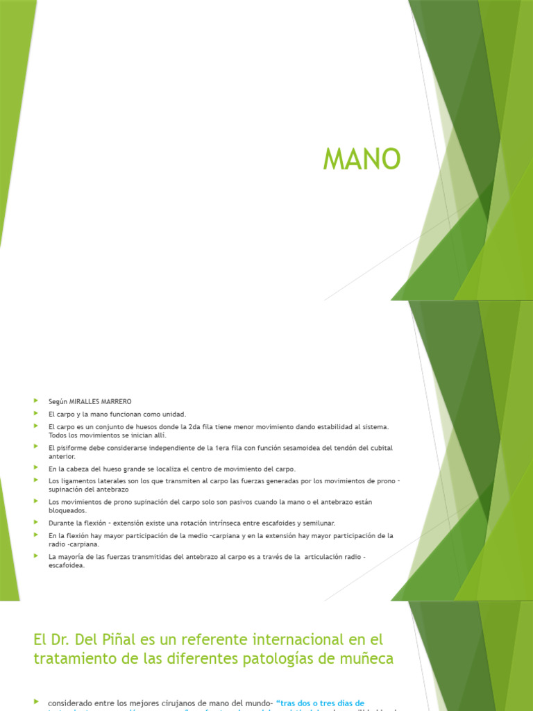 Mano Pdf Mano Anatomía Humana
