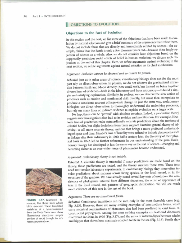 07 - Objections To Evolution | PDF