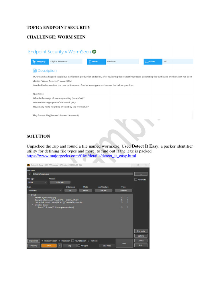 Worm Seen Writeup | PDF