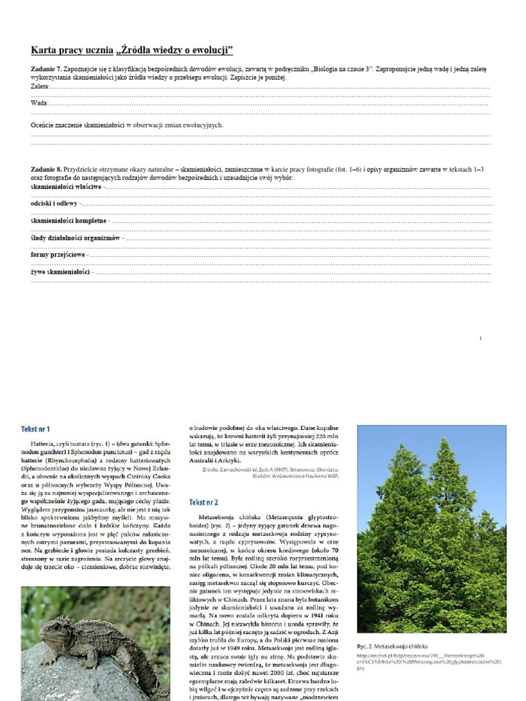 Zadanie 7, 8, 9 i 10 ewolucjonizm | PDF