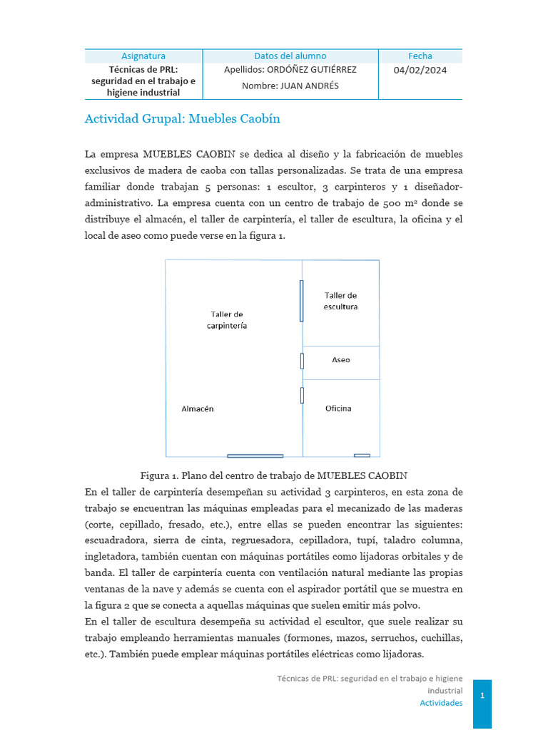 Evaluación PRL en Muebles Caobín | PDF | Higiene Ocupacional | Alergia