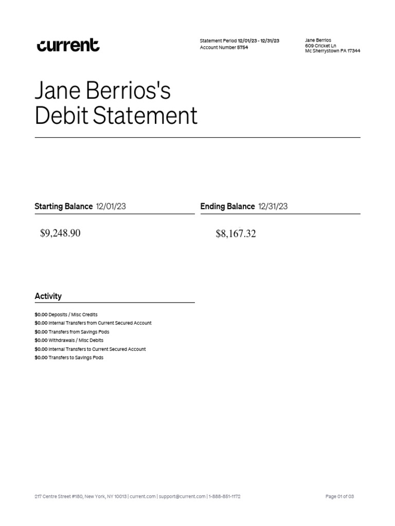 Jane Berrios Debit Statement Summary | PDF | Debit Card | Financial ...