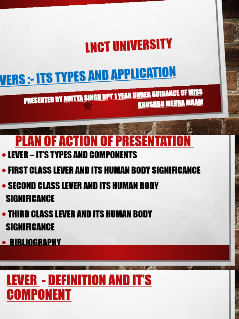 First-Class Levers in Human Anatomy | PDF | Lever | Musculoskeletal System