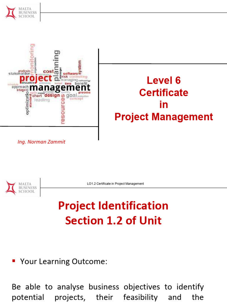 1.2 Project Identification | PDF | Project Management | Strategic Management