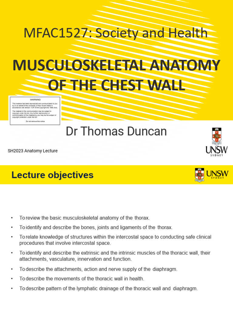 Thorax Musculoskeletal Anatomy | PDF | Vertebra | Thorax