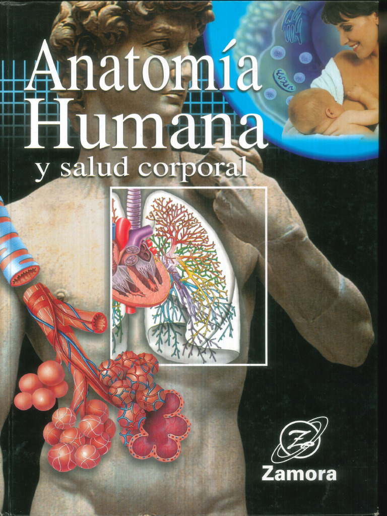 Anatomia Pdf