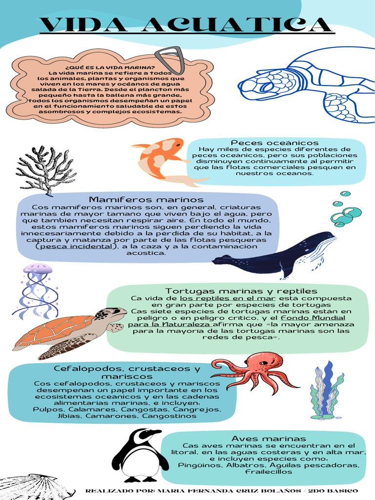 Vida Acuatica | PDF | Mamíferos marinos | Mariscos