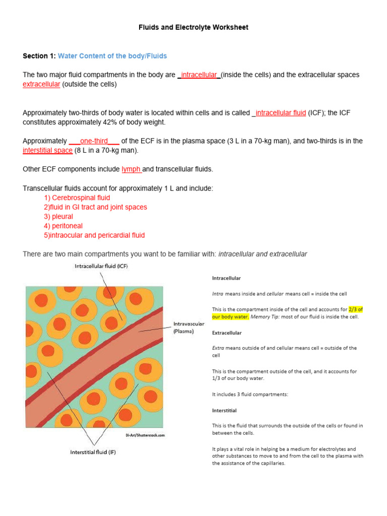 Fluids and Electrolyte WorksheetStudentCopySection1 | PDF | Osmosis ...