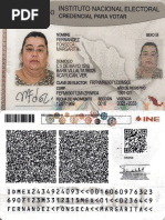 Nueva Plantilla Ine | PDF | Politica de mexico | Elecciones