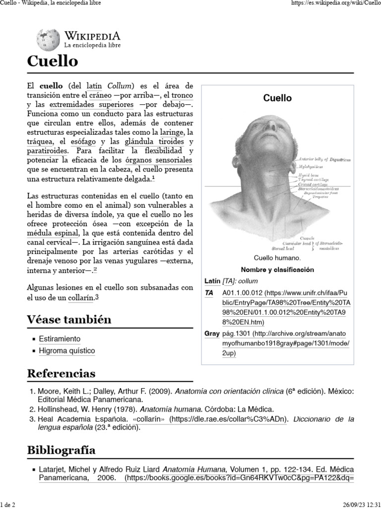 Cuello - Wikipedia, La Enciclopedia Libre | PDF | Cuello | Anatomía
