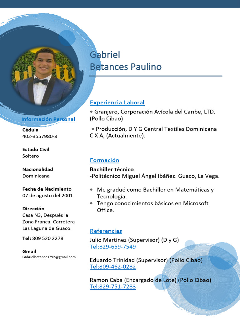 Gabriel Betances Paulino: Experiencia Laboral | PDF