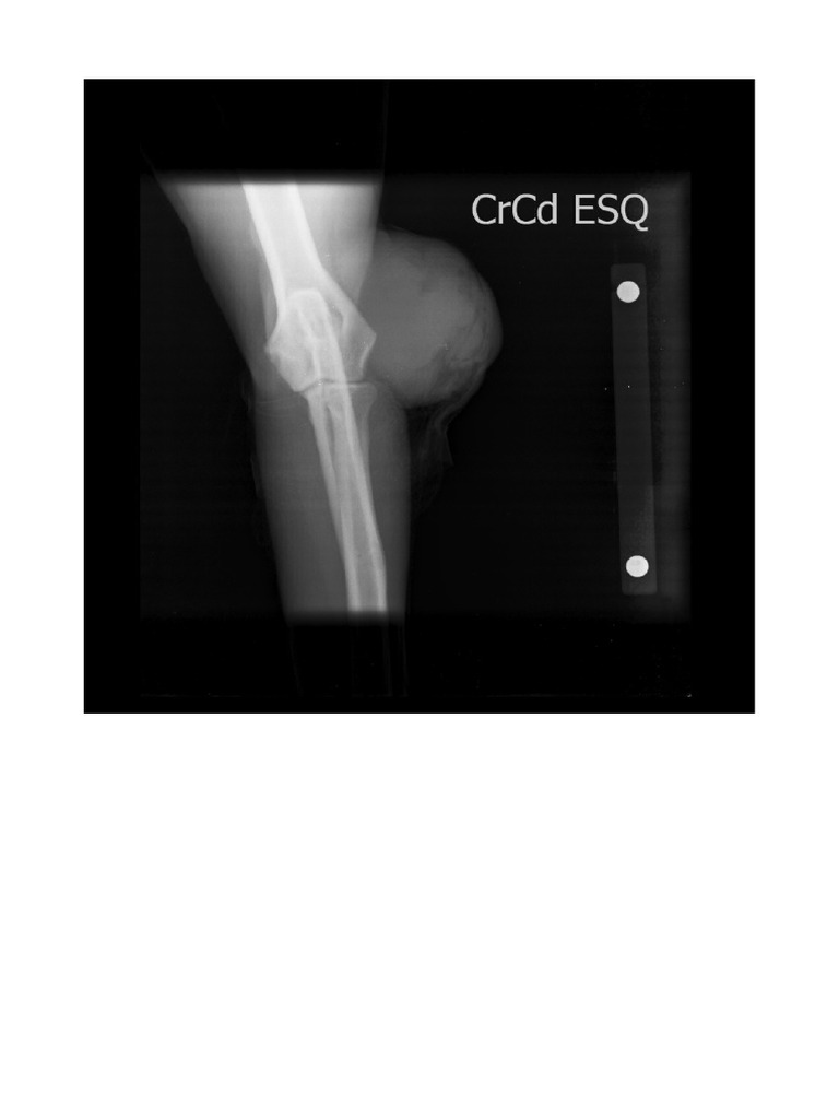 Juliete 158143 | PDF