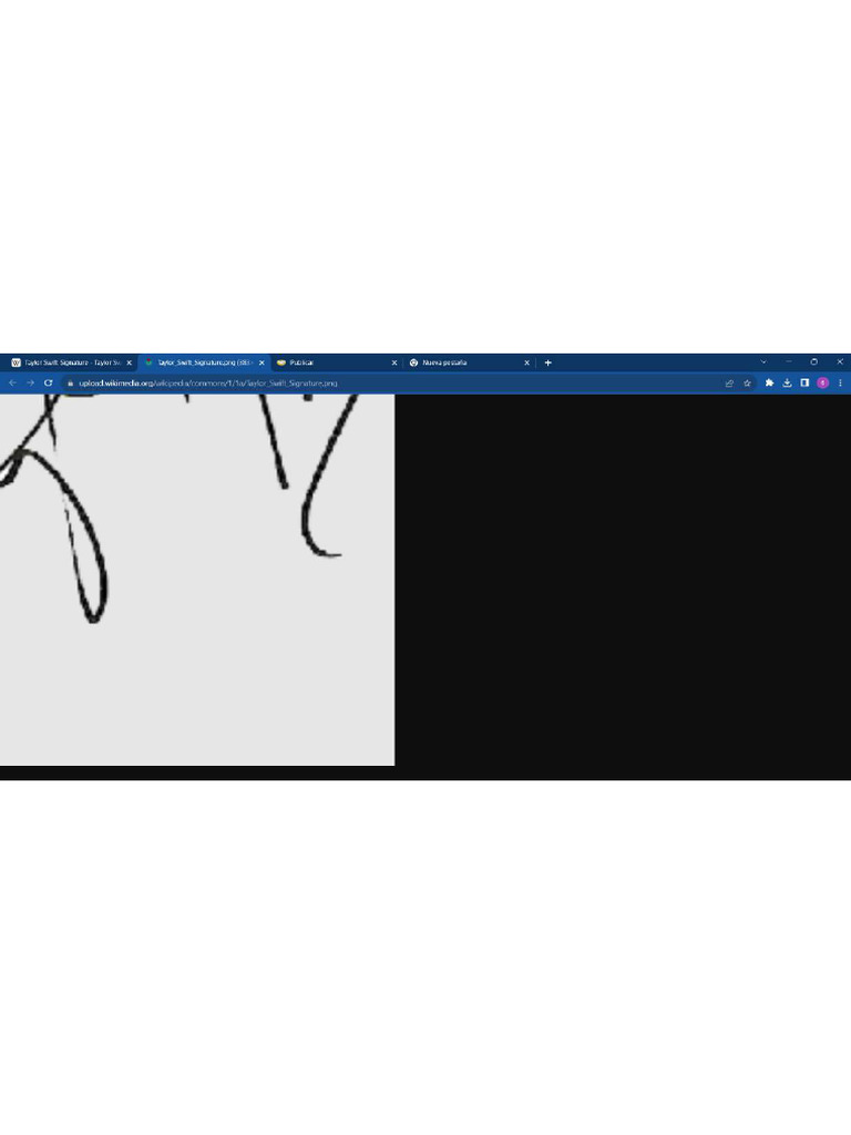 Taylor_Swift_Signature | PDF