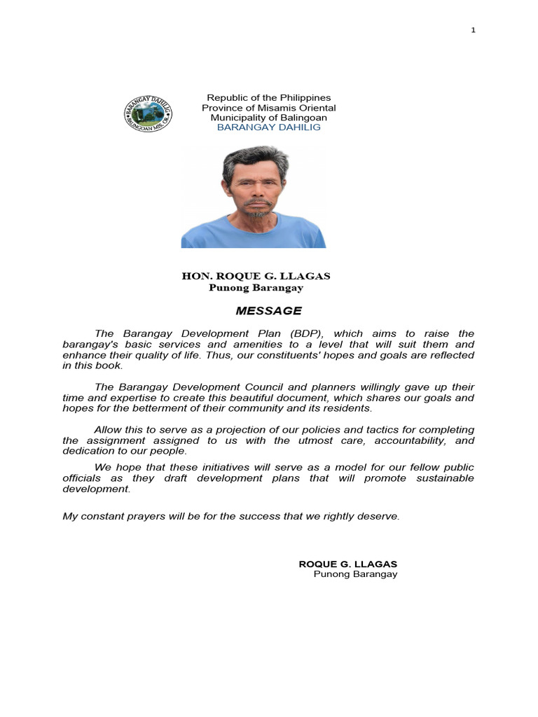 Dahilig BDP Final Draft 2024-2029 | PDF | Hazards | Agriculture