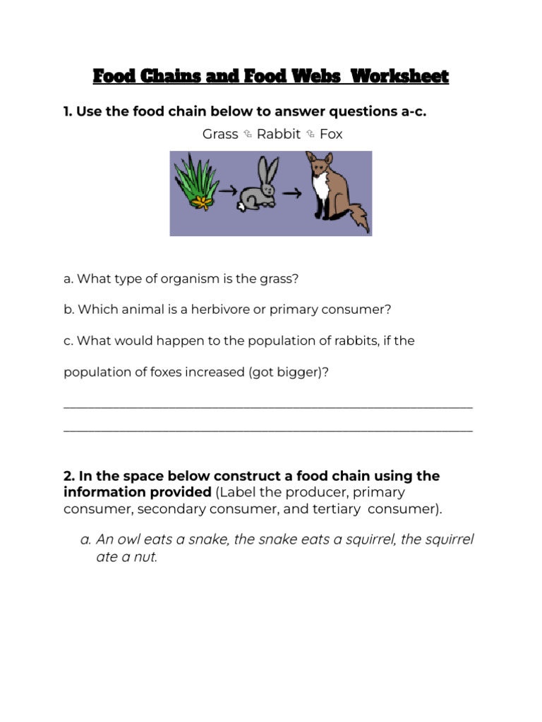 Food Chains and Food Webs Worksheet | PDF
