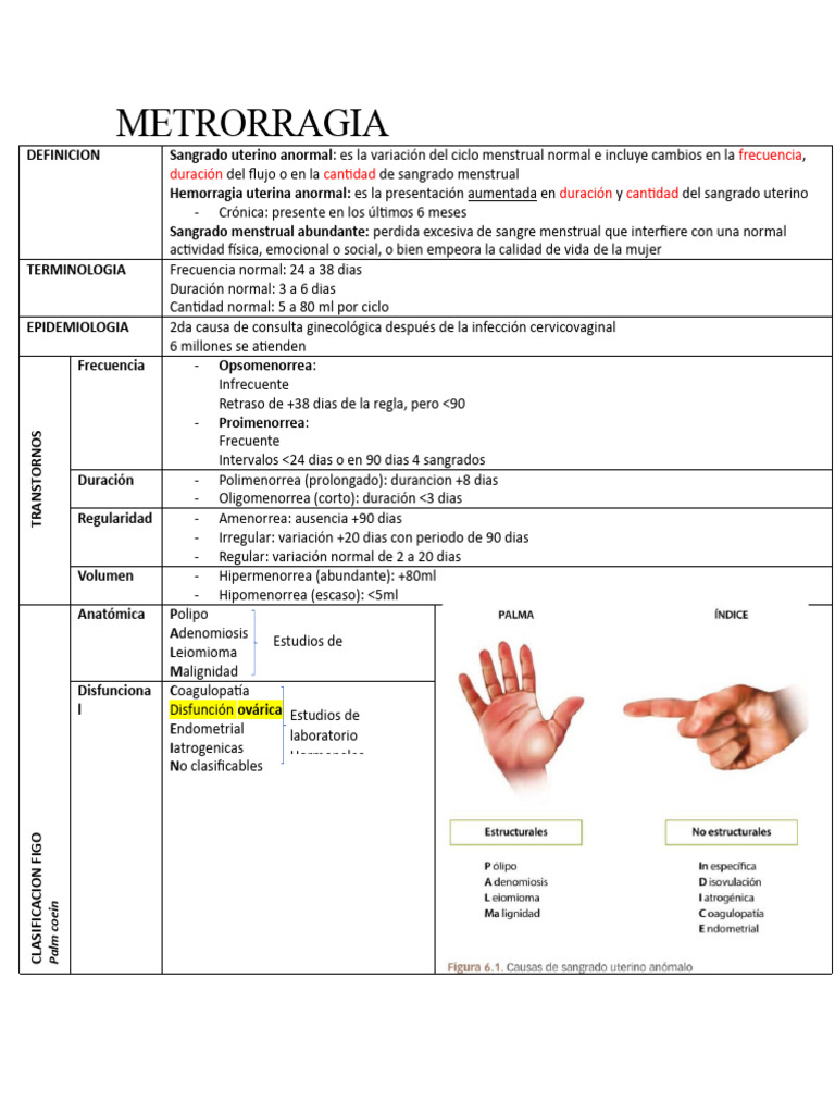 METRORRAGIA | PDF | Ciclo menstrual | Menstruación