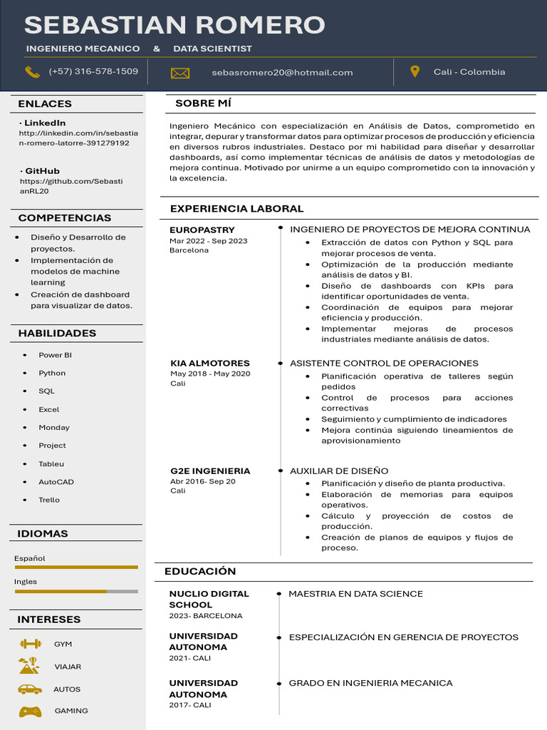 CV Sebastian | PDF | Ingeniería | Informática