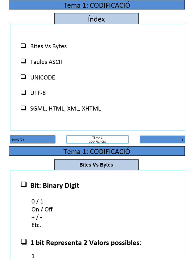 Caracters I Codificació | PDF
