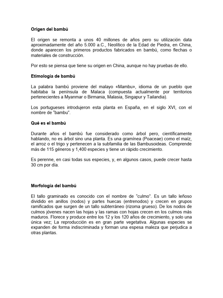 Origen Del Bambú | PDF