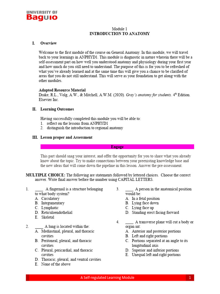 Module 1 | PDF | Abdomen | Anatomical Terms Of Location