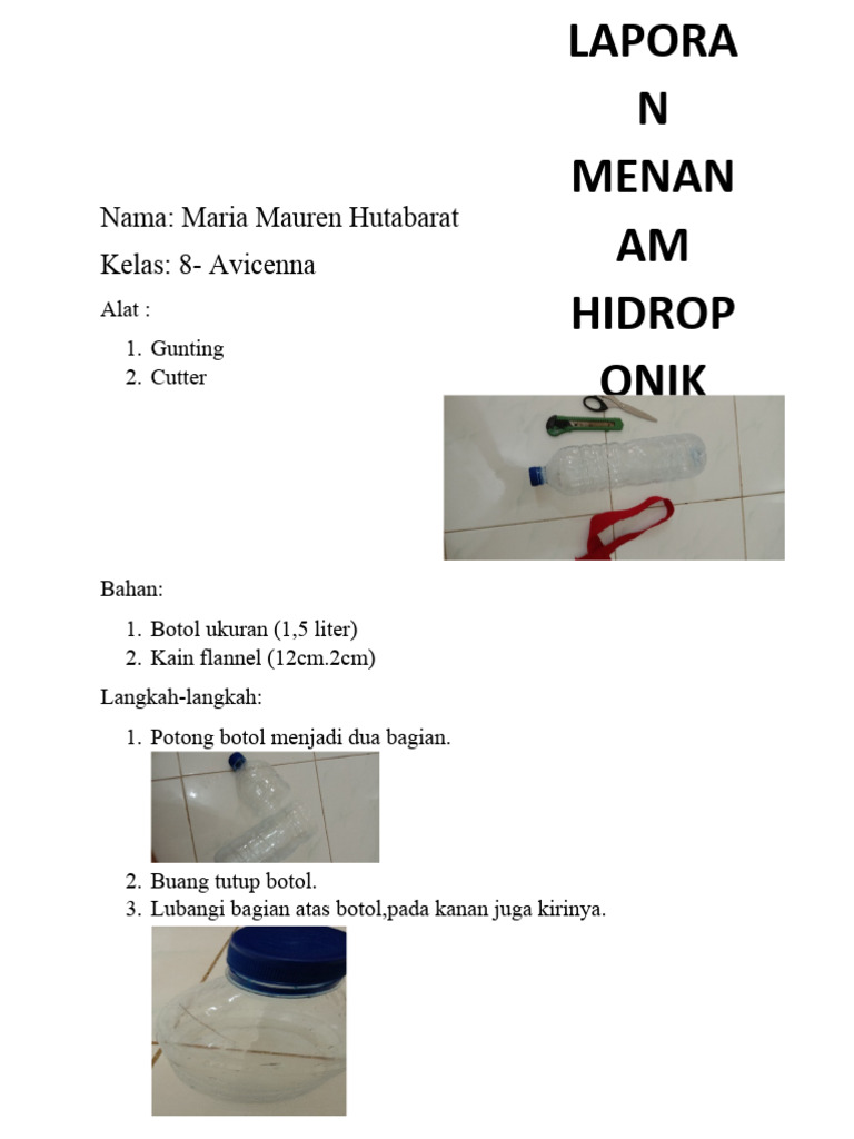 Menanam Hidroponik | PDF | Sains & Matematika
