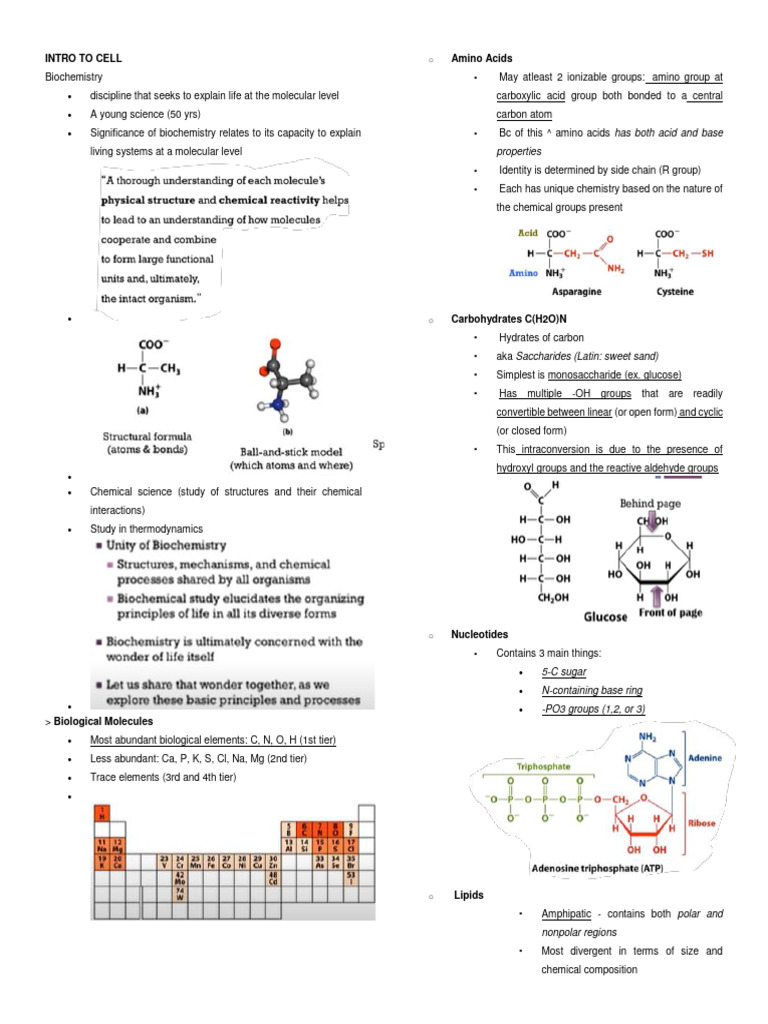 Biochem Cell To Buffer | PDF | Cell (Biology) | Acid Dissociation Constant