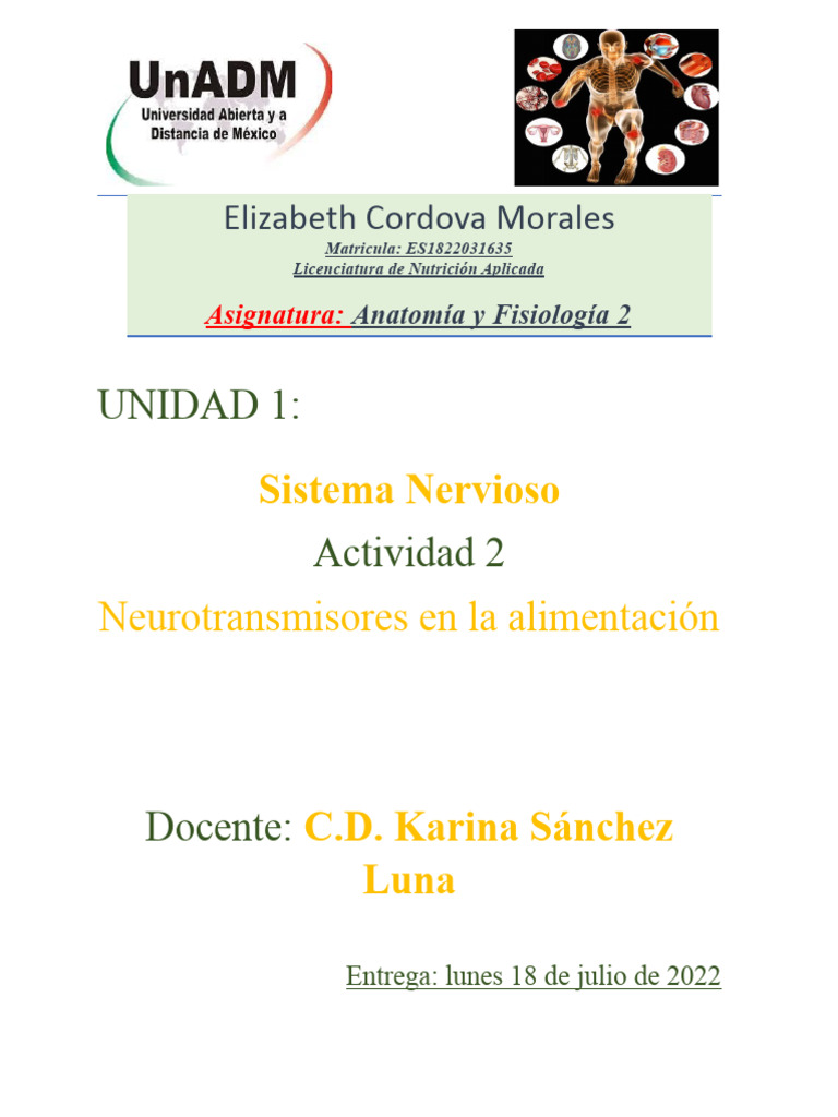 Afi2 U1 A2 Elcm | PDF | Sinapsis | Metabolismo