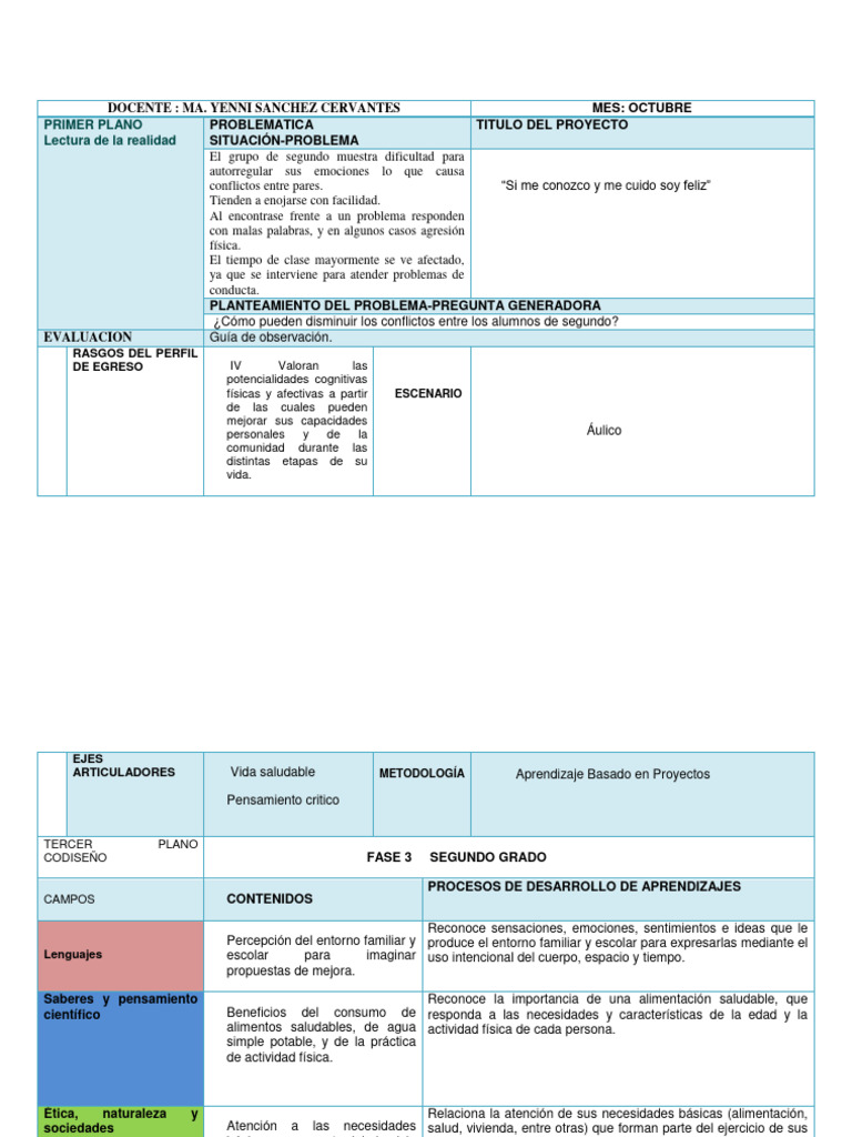 Sanchez - Cervantes Ma - Yenni - Proyecto - Pae | PDF