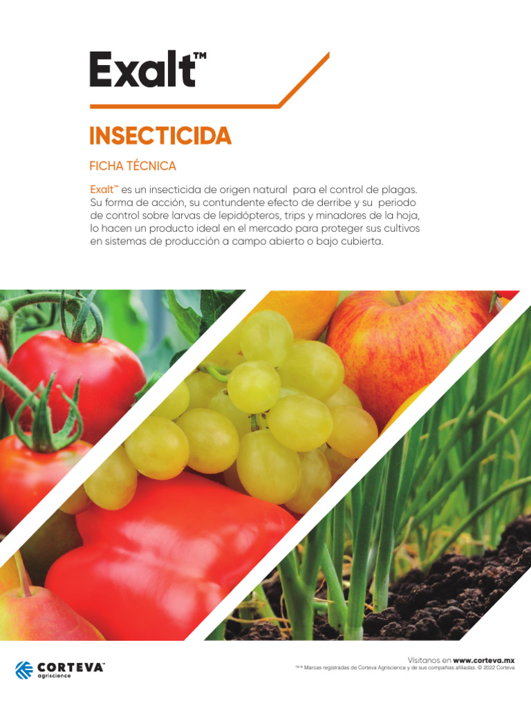 F.T. Exalt | PDF | Insecticida | Cocina vegana