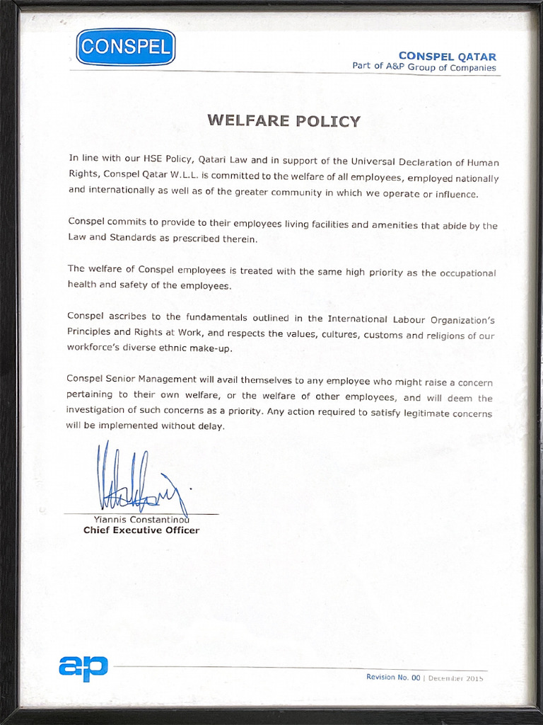 Welfare Policy | PDF